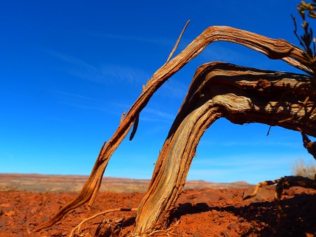 Getting Grounded in the Disciplines – New Evangelization Ministries